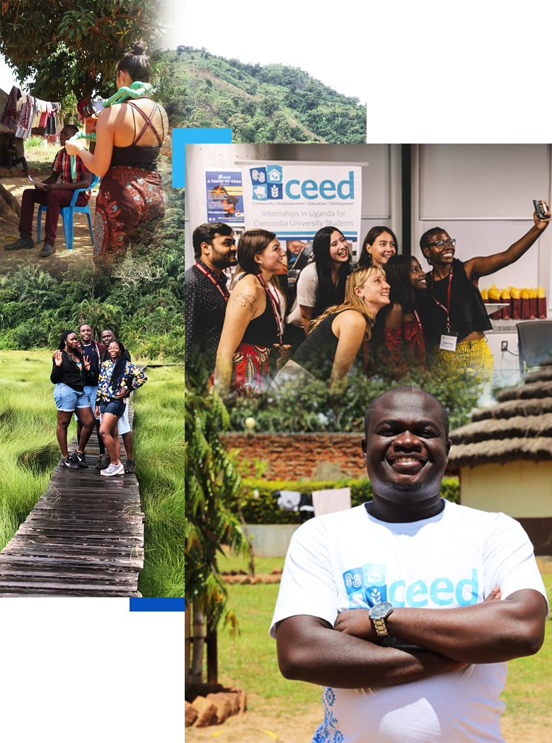 HOME - CEED CONCORDIA