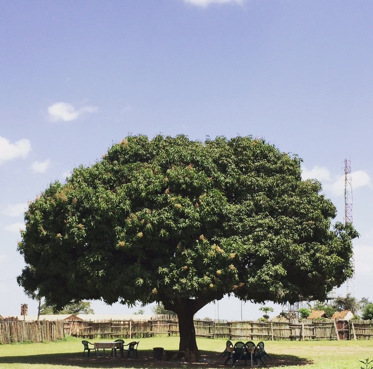 Looking Back: CEED Alumni Recounts What Her Time in Gulu Was Like ...